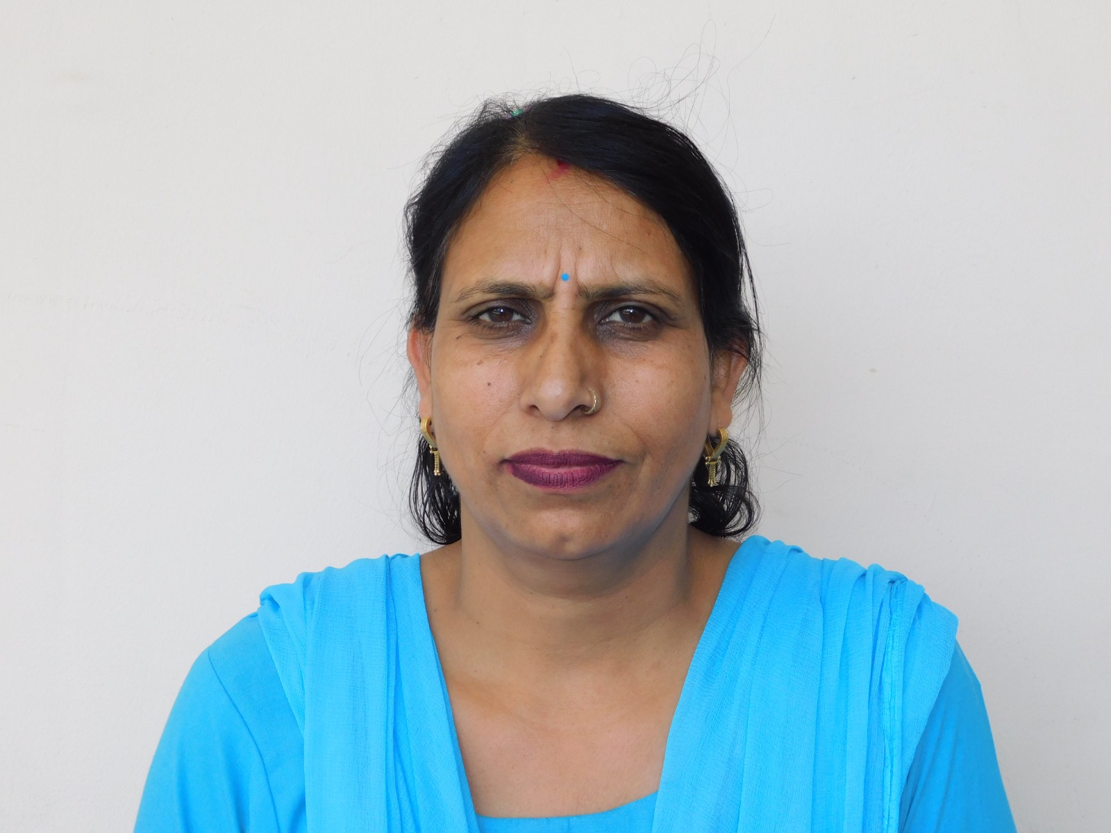 Teaching Staff of NLGVM